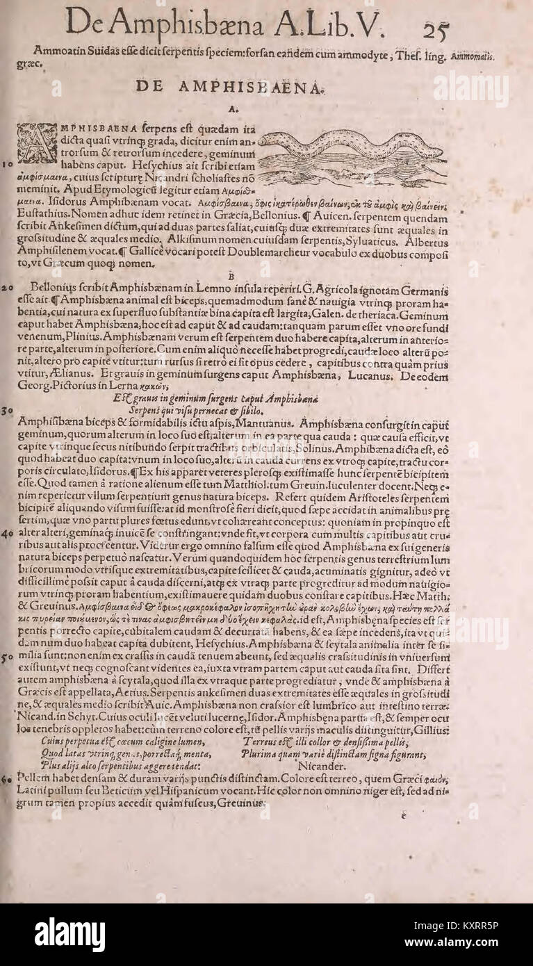 This 16th-century page from Conrad Gesner’s 'Historiæ Animalium' Book ...
