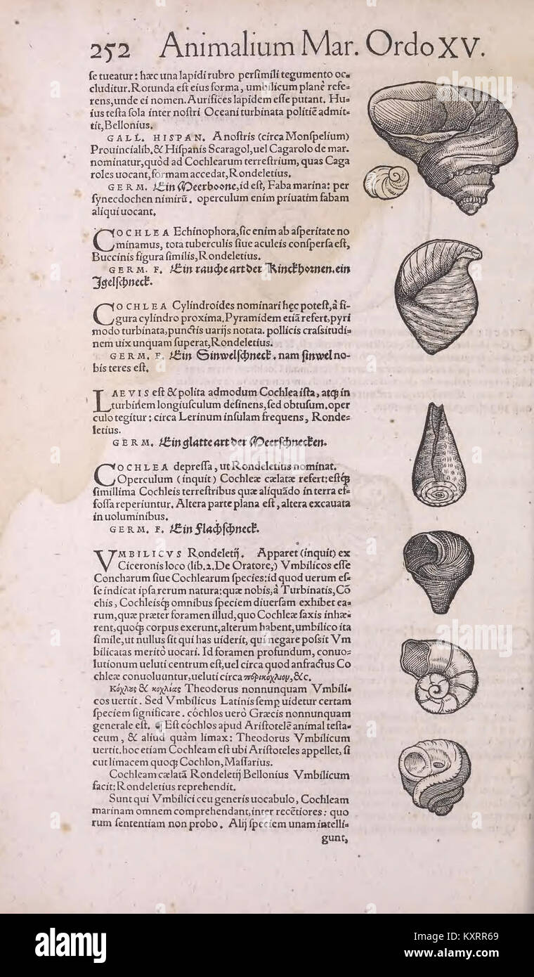 A page from *Historiae Animalium* by Conrad Gesner, a 16th-century work ...