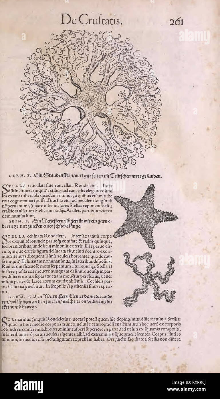 This historical work by Conrad Gesner, a Swiss naturalist and physician ...