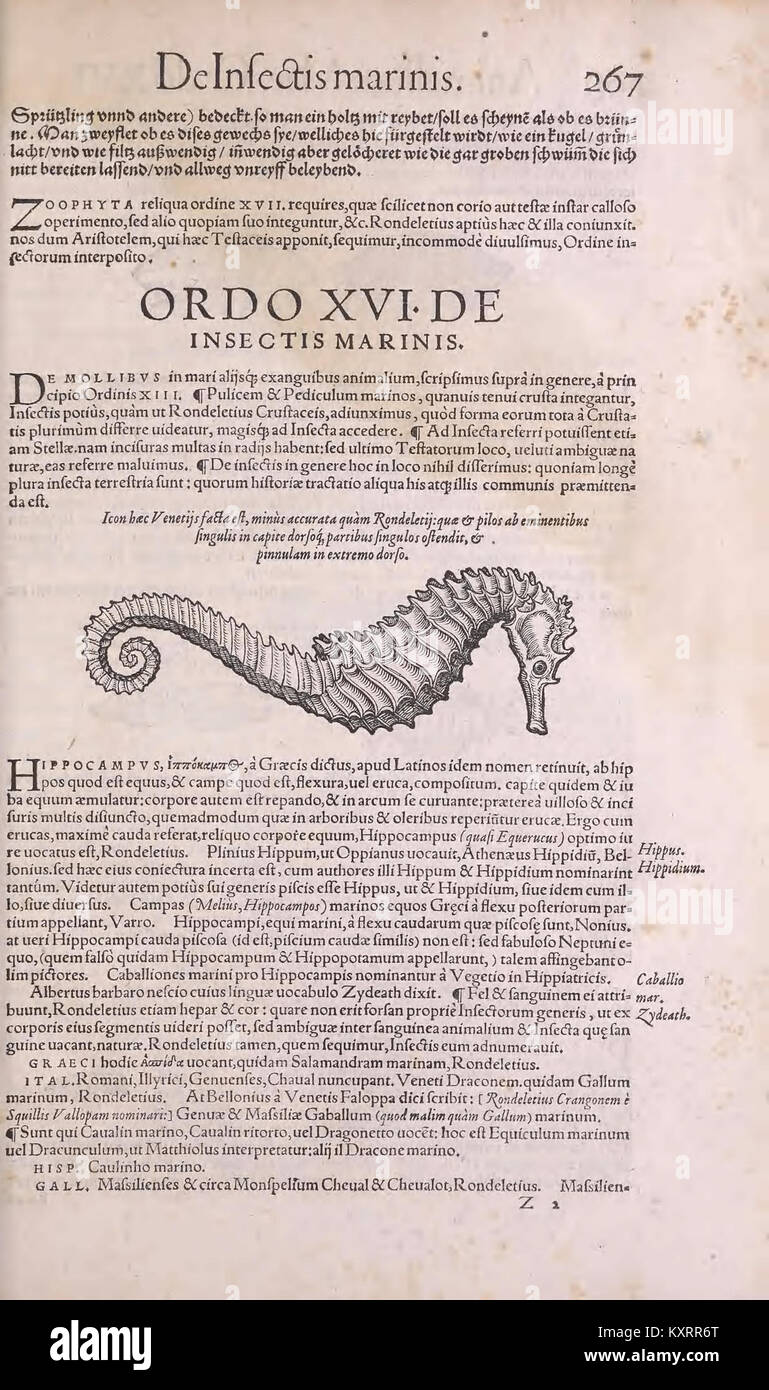 This page from Conrad Gesner's *Historia animalium* (Book II) discusses ...