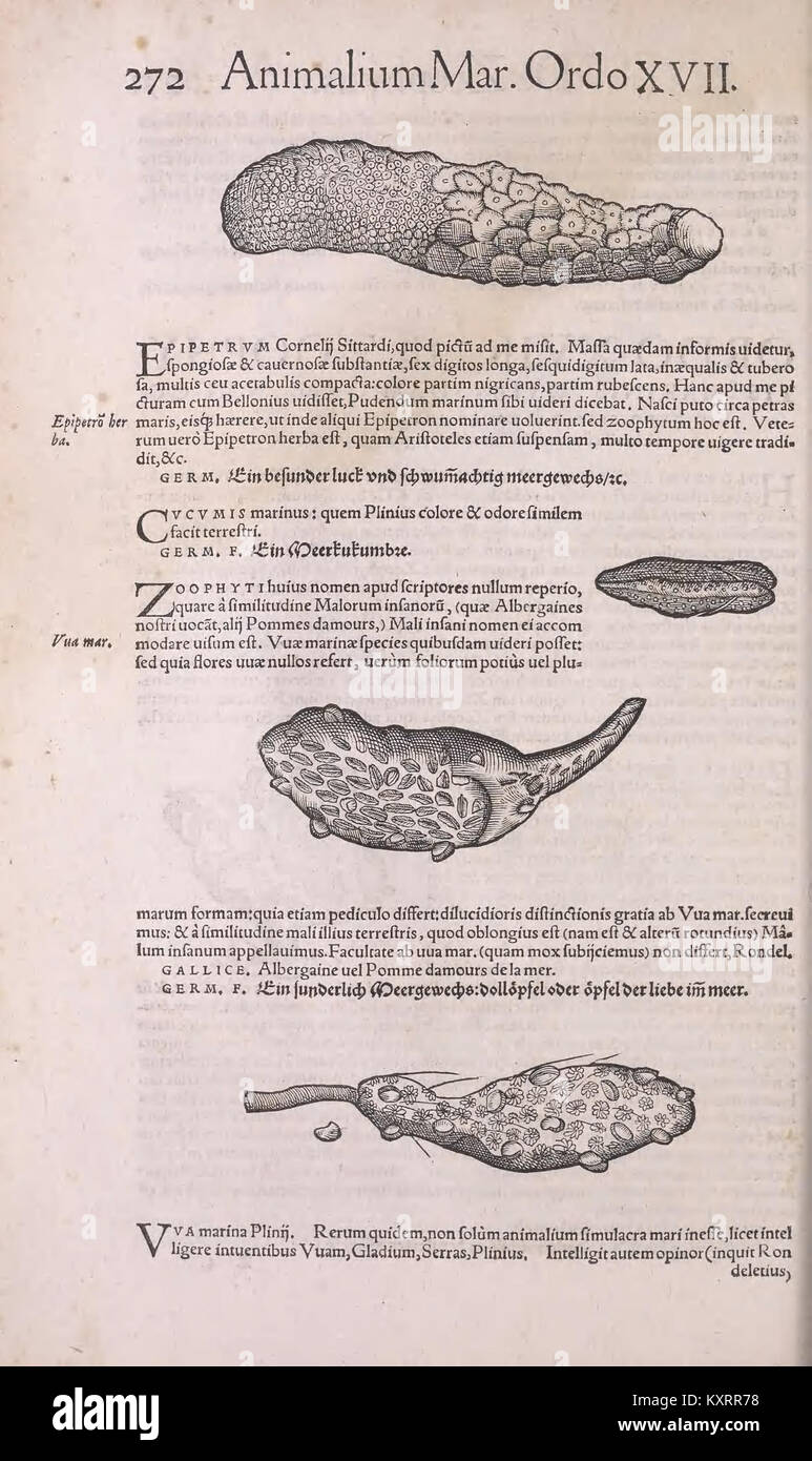 Page 272 of Conrad Gesner's *Historiae Animalium* (second book ...
