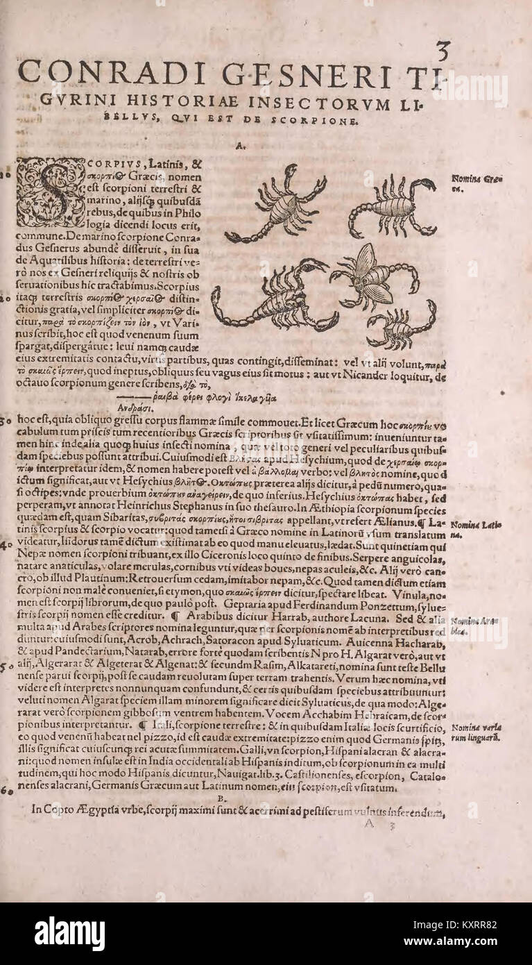 Page 3 from 'Historia Animalium' by Conrad Gesner, a seminal work in ...