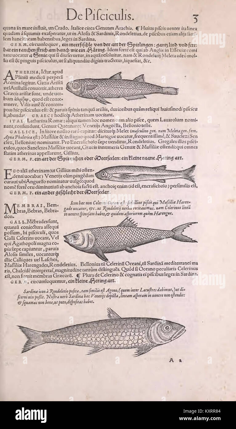 This reference highlights Conrad Gesner's work on animal history ...
