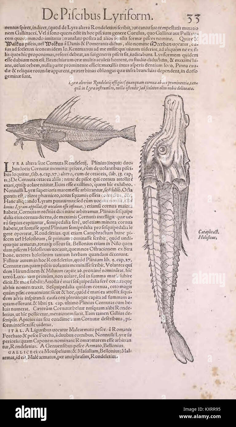 Conrad Gesner, a Swiss physician and naturalist, authored 'Historia ...