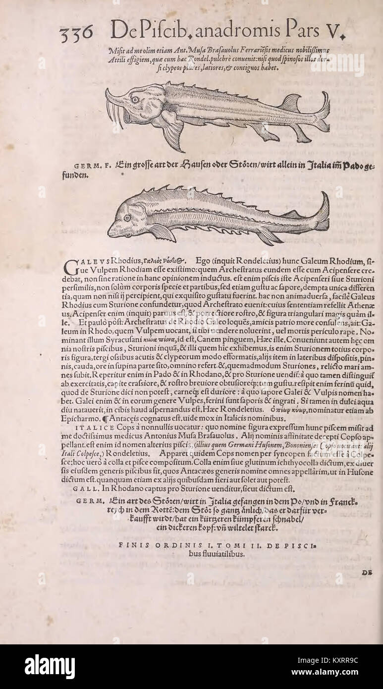 Conrad Gesner's 'Historia Animalium,' written in the 16th century, is a ...