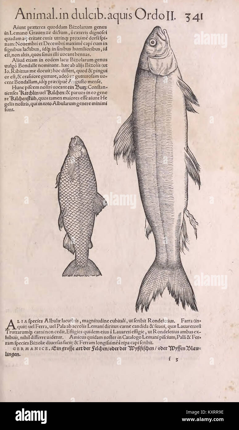 This book by Conrad Gesner, titled *History of Animals*, was written by ...