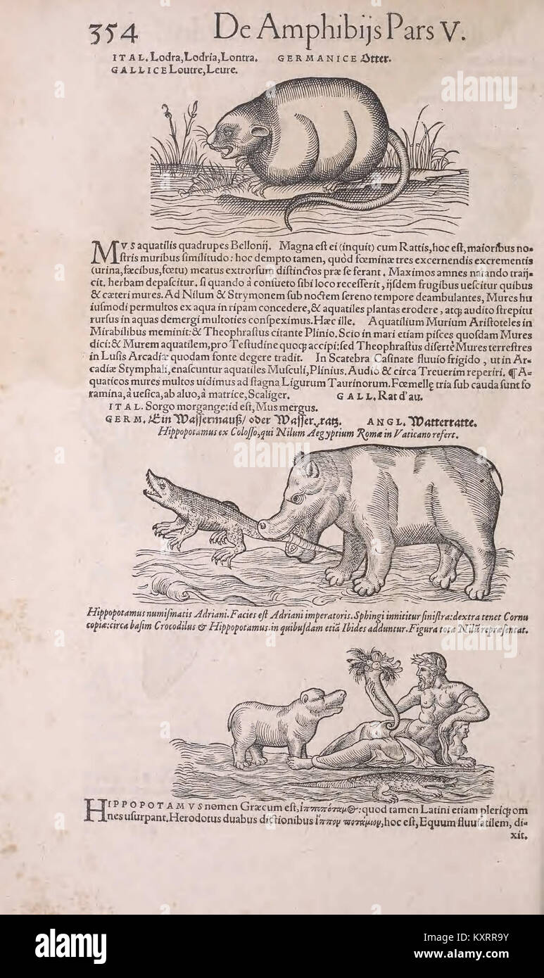 This image depicts a page from Conrad Gesner's 'Historiae Animalium ...