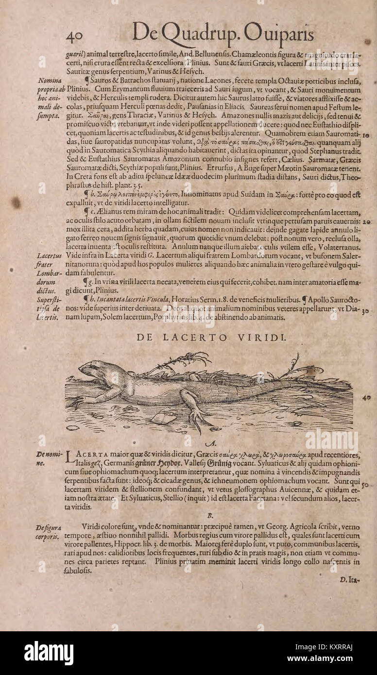 This page from Conrad Gessner’s 'Historiae Animalium' offers further ...