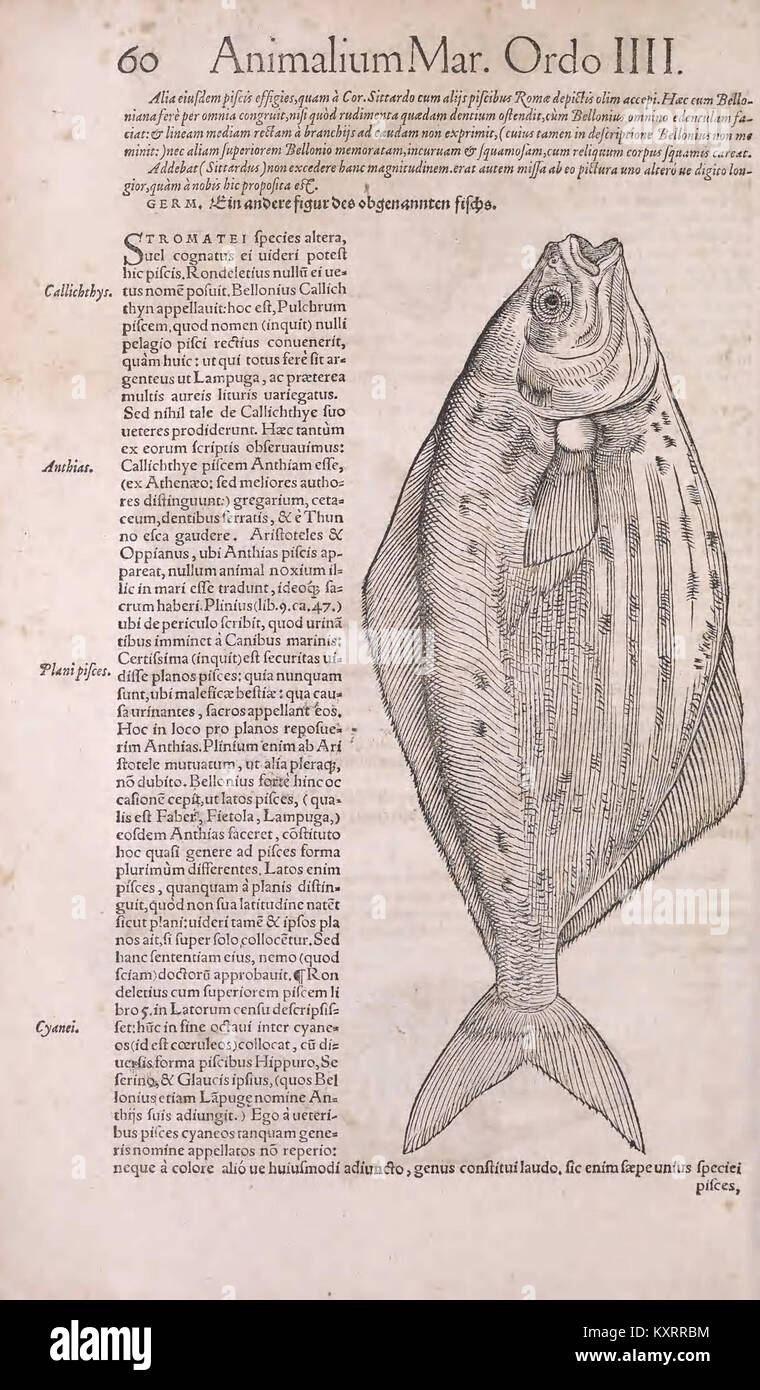 This page from Conrad Gesner's *Historia Animalium* discusses animals ...