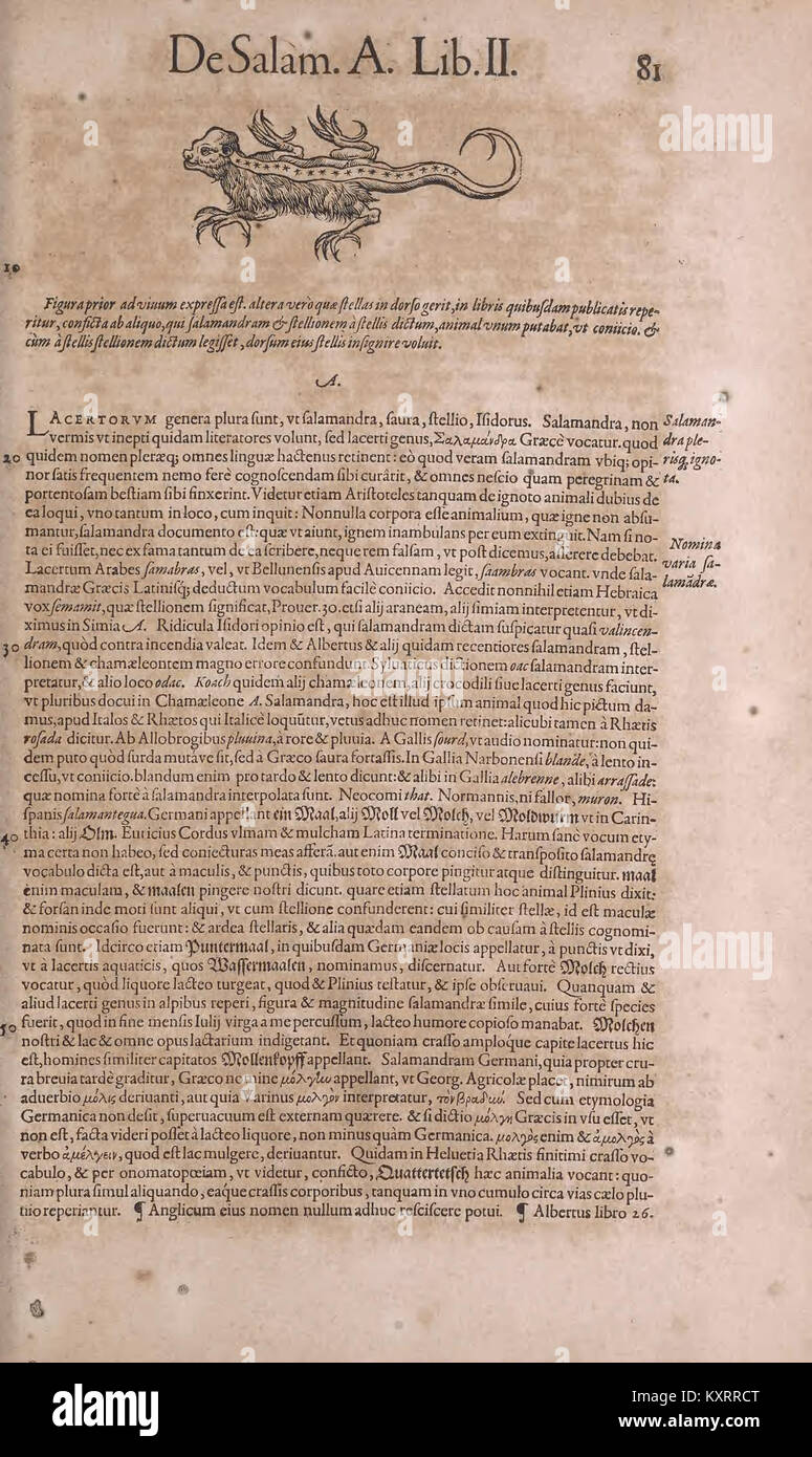 A 16th-century page from Conrad Gesner’s Historia Animalium, a ...