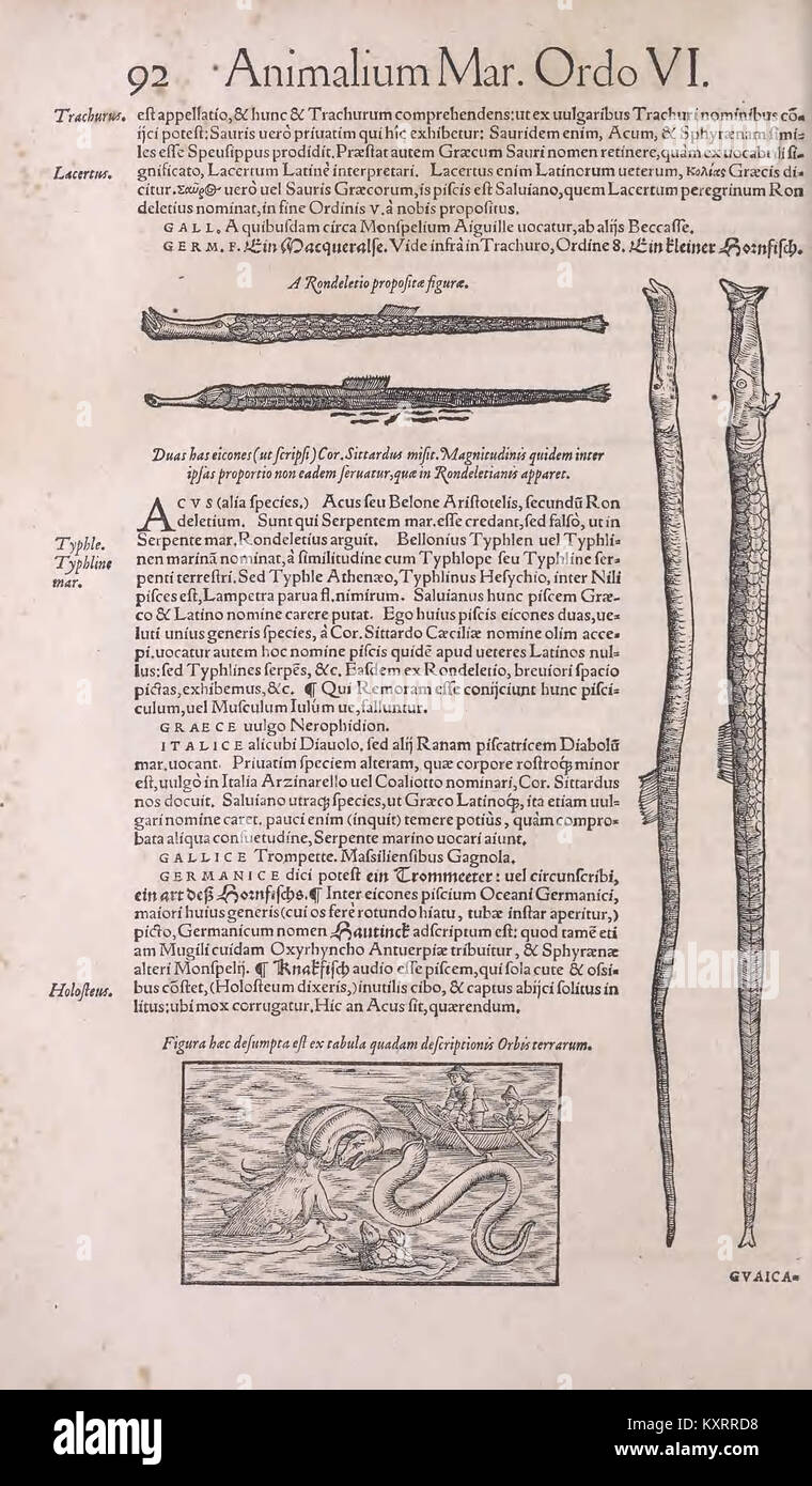This page from Conrad Gesner's 16th-century work on animal history ...