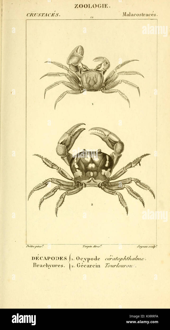 This 18th-century scientific illustration from 'Considerations ...