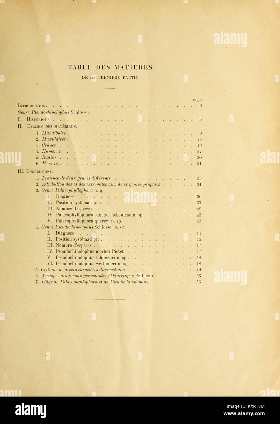 This title refers to a scientific contribution regarding chiropterans ...