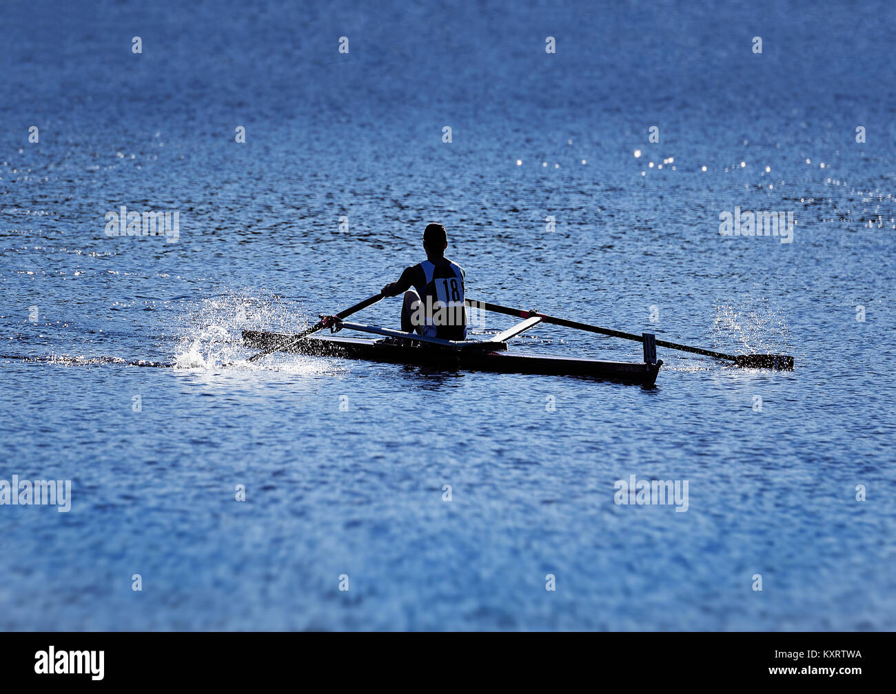 Sculling On Charles River Harvard High Resolution Stock Photography and ...