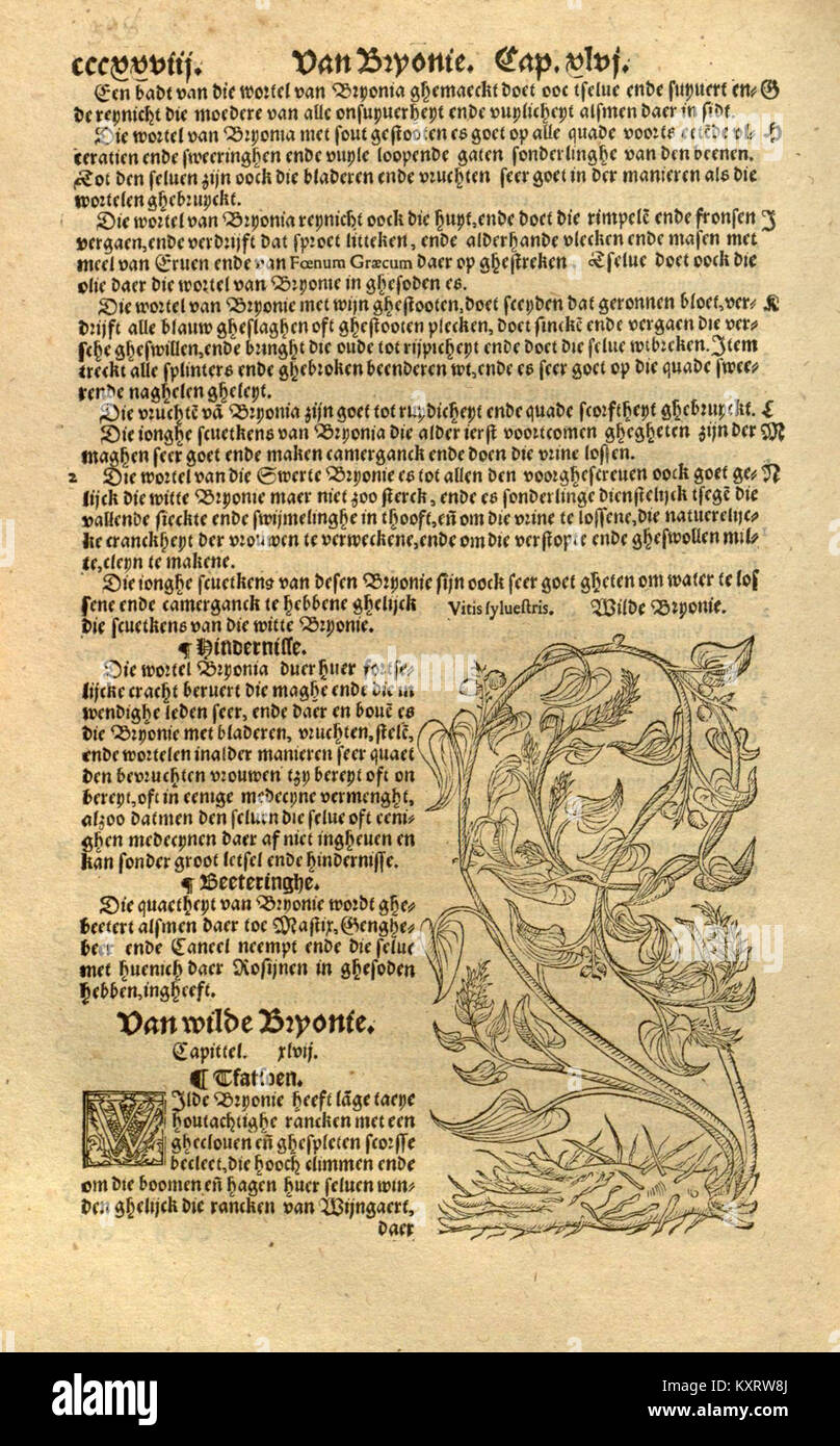 Old catalog page hi-res stock photography and images - Alamy