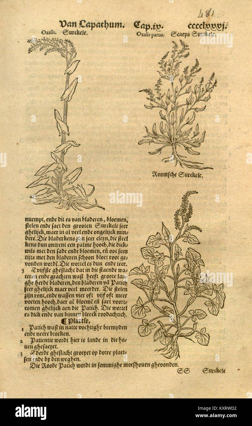 This page from *Crŭÿde boeck*, a medieval manuscript, provides insight ...