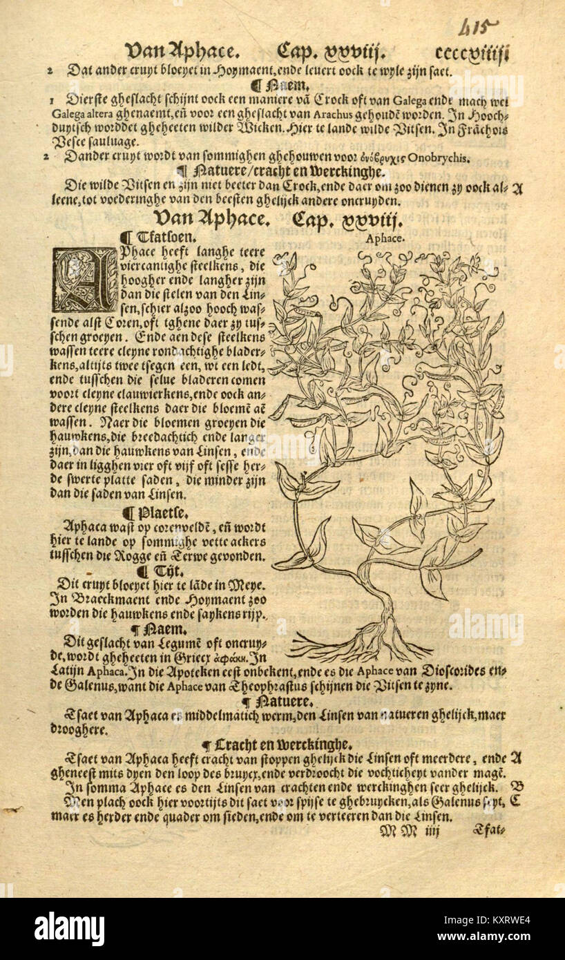 A page from the 'Cru'de boeck,' an early work on animal anatomy. This ...