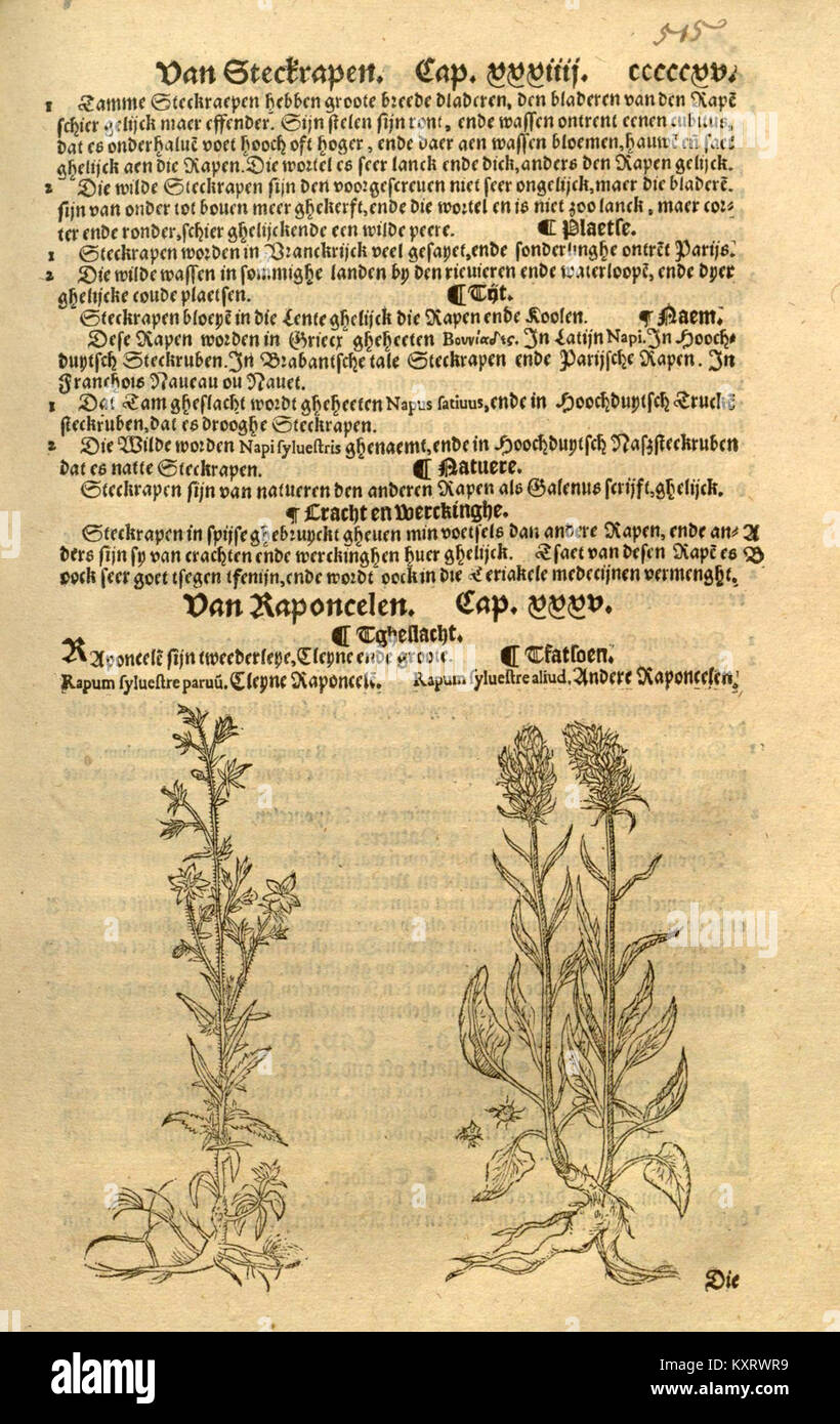 Alchemy 16th century hi-res stock photography and images - Alamy