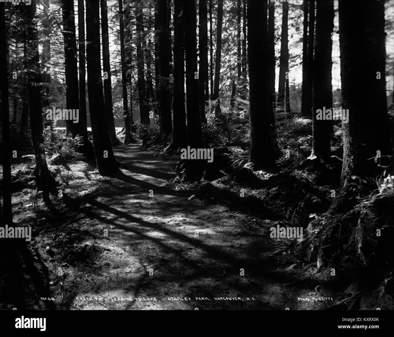 A scenic photograph showing a tree-lined creek path leading to a lake ...