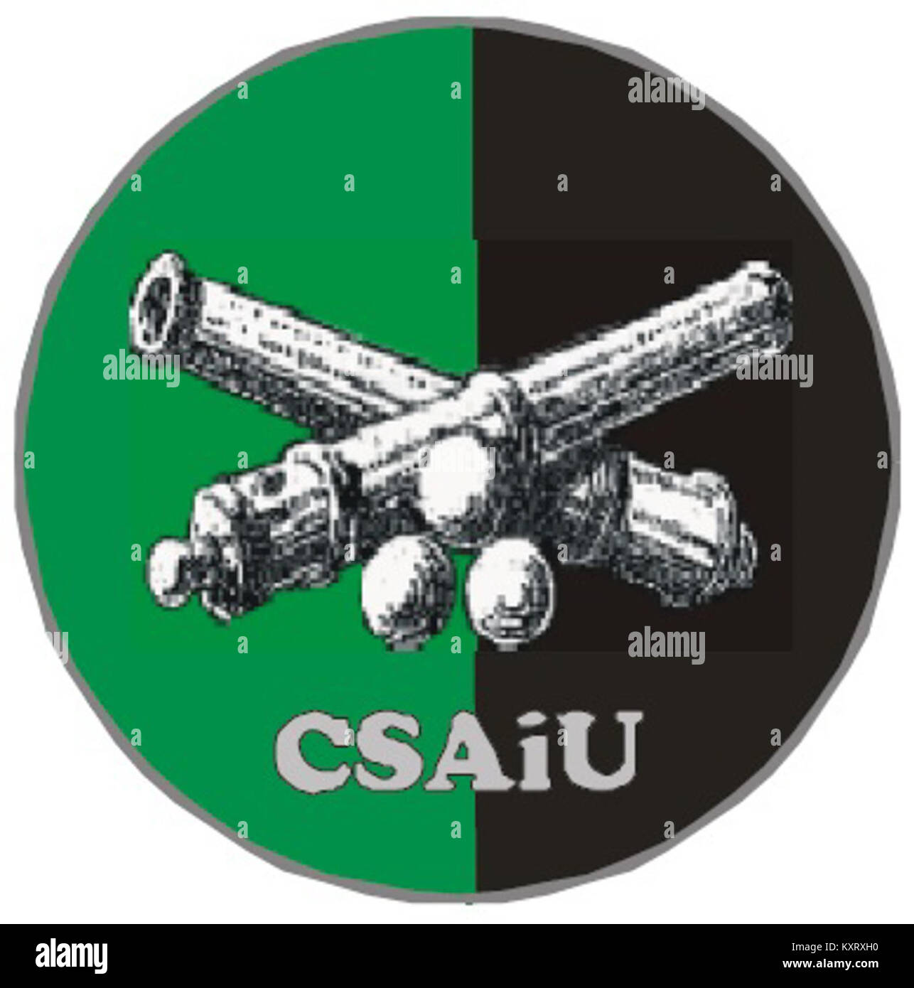 This image features the insignia from the 2017 uniform of the CSAiU ...