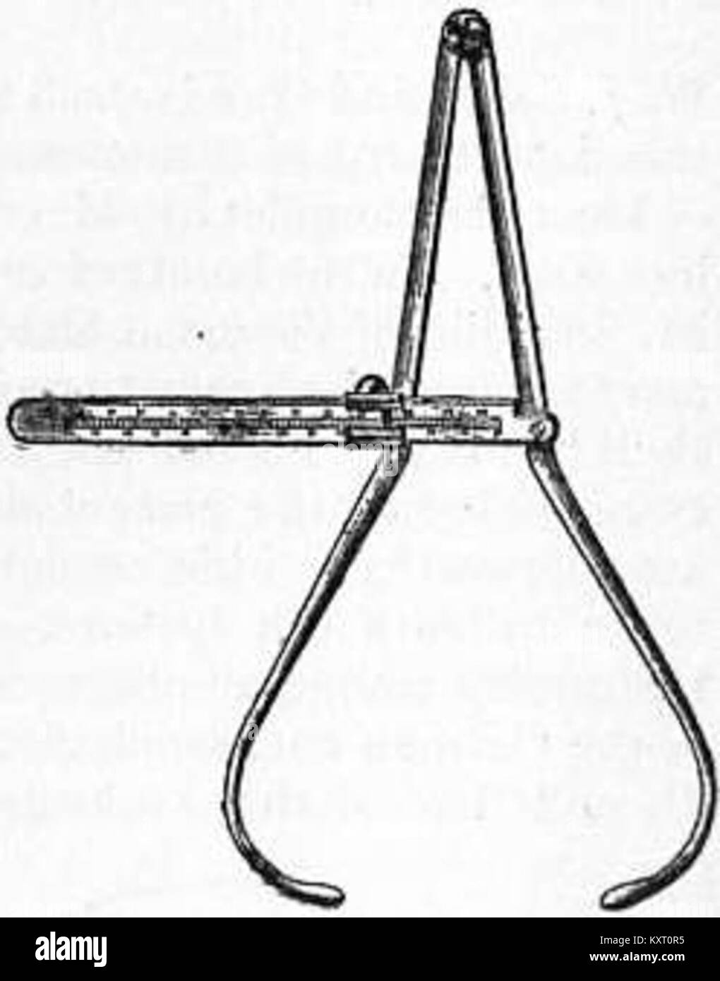 Craniometry High Resolution Stock Photography and Images - Alamy