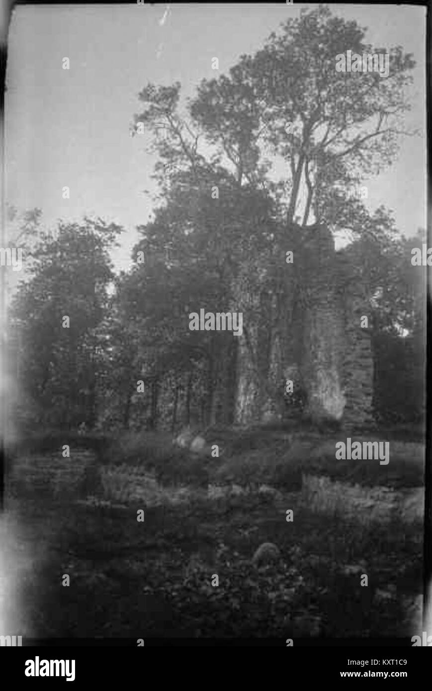 Edsberg's Riseberga monastery ruins in Sweden are an important ...