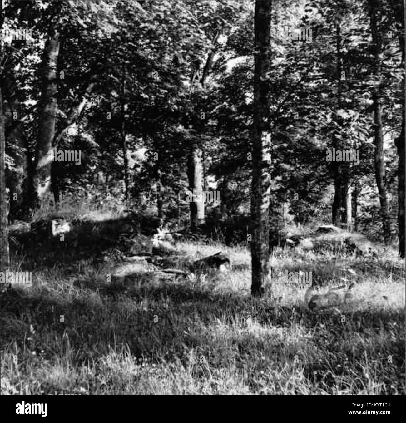 Edsberg, Riseberga klosterruin - KMB - 16000200047796 Stock Photo - Alamy