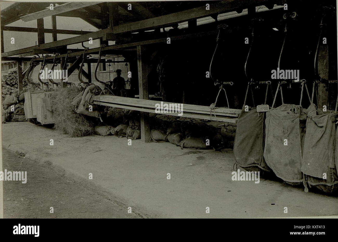 This image depicts various types of tracks at the Kronau railway ...