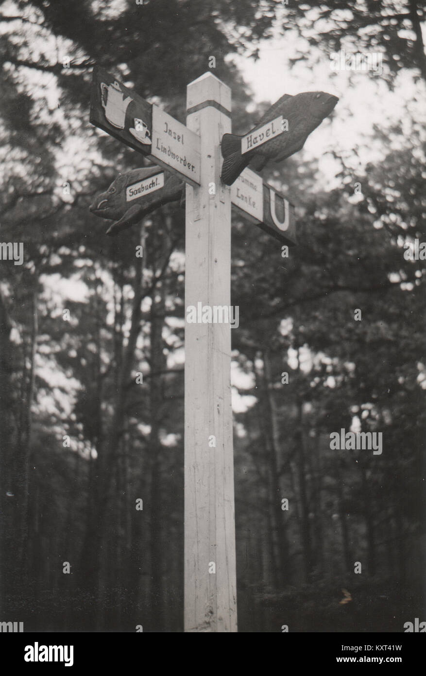 Photograph from 1939 showing a signpost in the Grunewald forest, Berlin ...