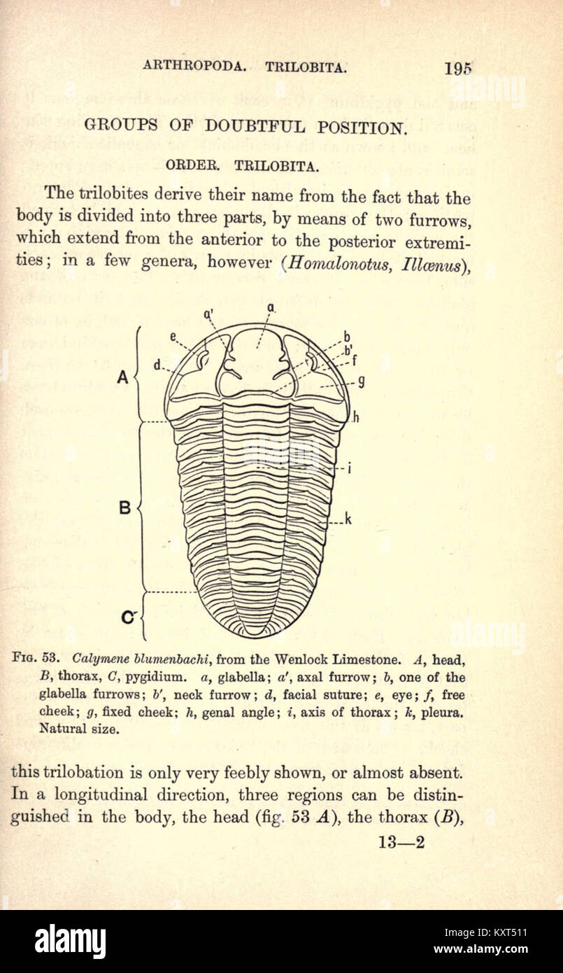 A page from Elementary Palæontology for Geological Students featuring ...