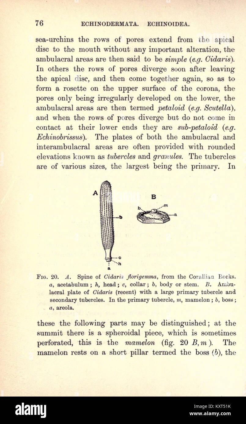 A page from 'Elementary Paleontology for Geological Students,' offering ...