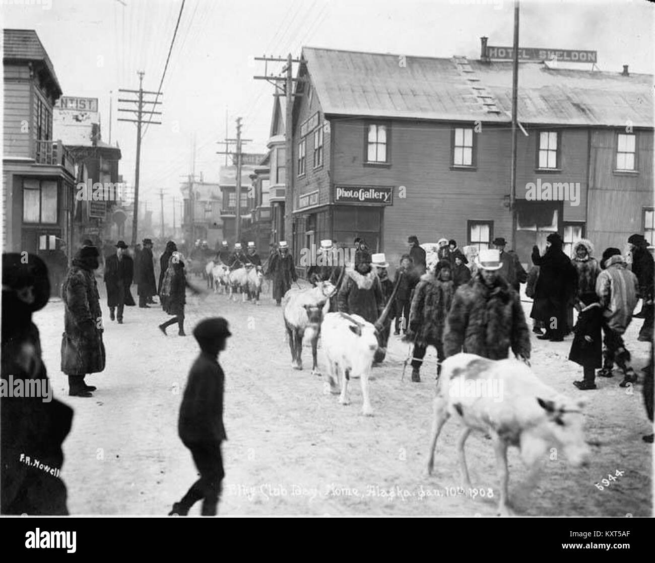 Elks Parade High Resolution Stock Photography and Images - Alamy