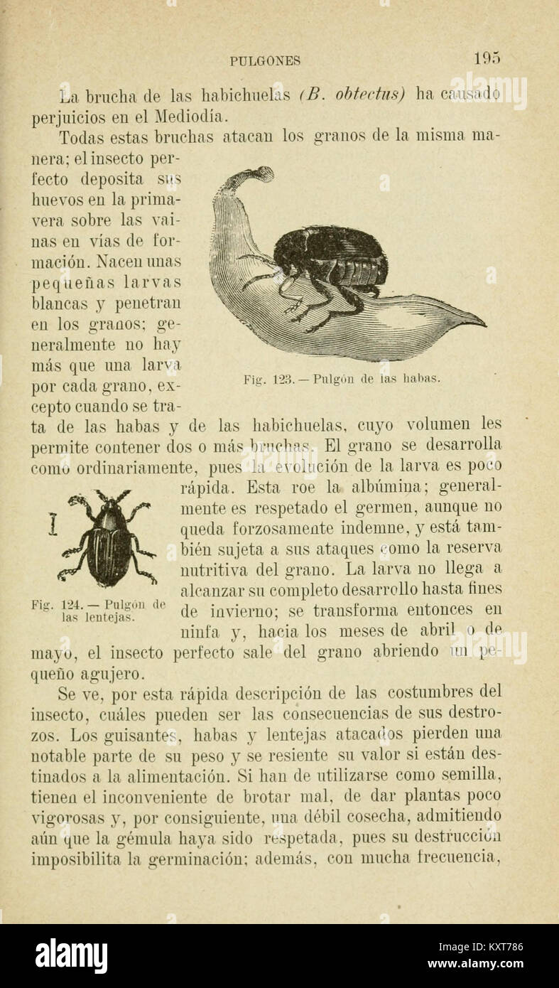This page from 'Entomología y parasitología agrícolas' covers ...