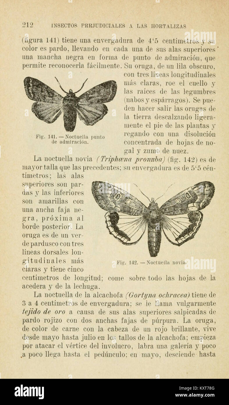 This page from 'Entomología y parasitología agrícolas' continues the ...