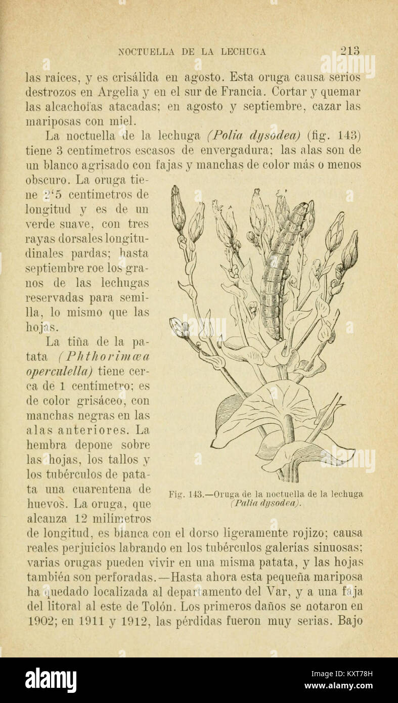 *Entomología y parasitología agrícolas* (Agricultural Entomology and ...