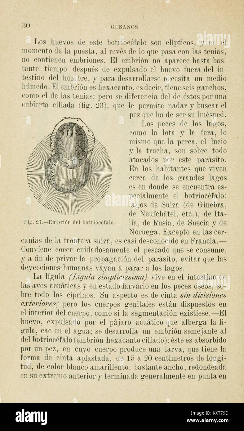 This page from a publication on agricultural entomology and ...
