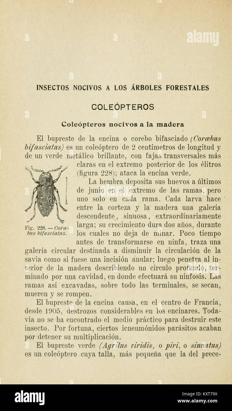 Page discussing agricultural entomology and parasitology, detailing ...