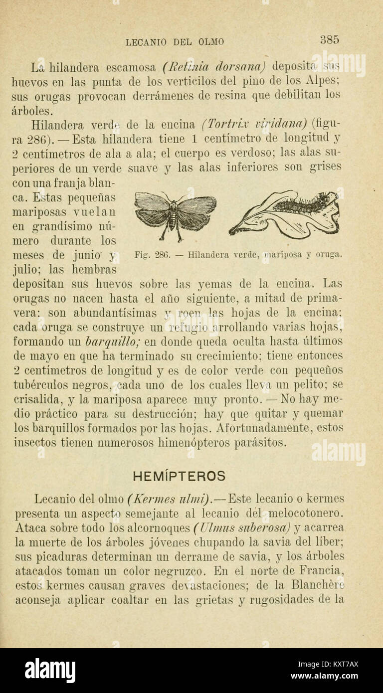 This page from a scientific text on entomology and agricultural ...