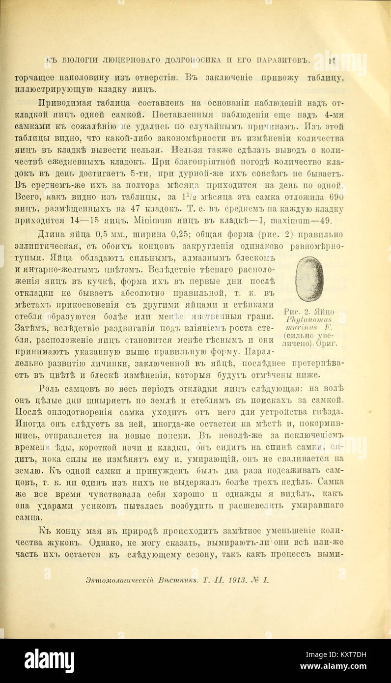 Page 11, Figure 2 of Entomologicheskï viestnik shows a detailed plate ...