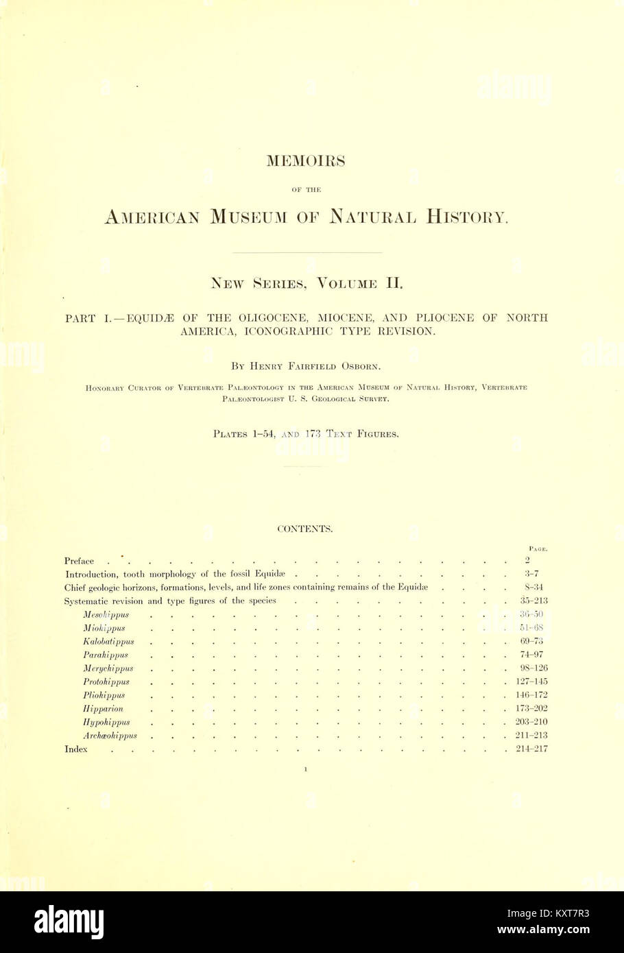 A scientific revision of the iconographic types of equid species from ...