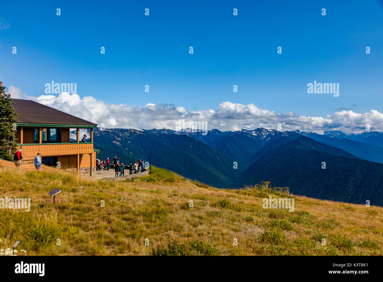 View from Hurricane Ridge in Oylmpic National Park Washington Stock ...