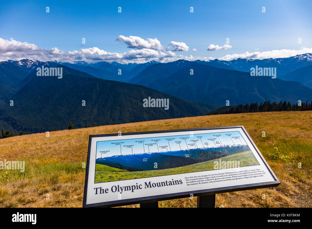Information sign for The Olympic Mountains from Hurricane Ridge in ...