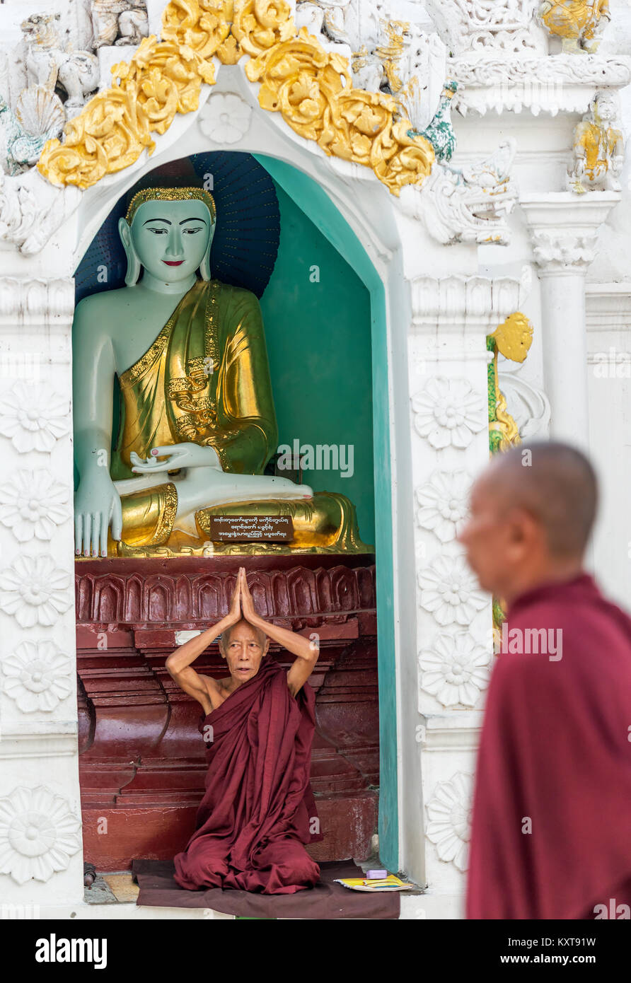 Monk praying inside Shwedagon pagoda in Yangon, Myanmar Stock Photo - Alamy