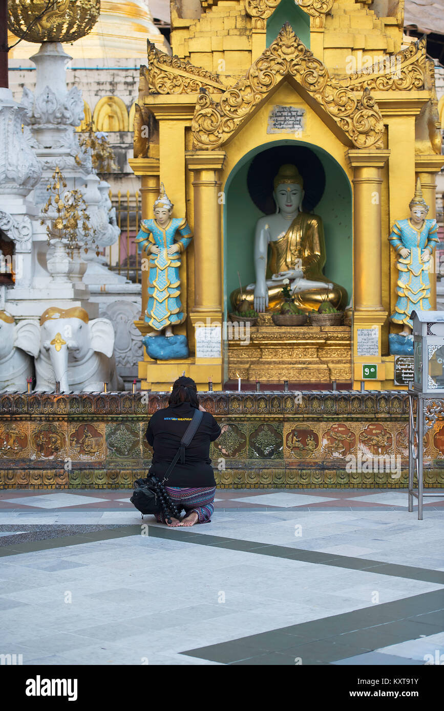 Praying inside Shwedagon pagoda in Yangon, Myanamar Stock Photo - Alamy