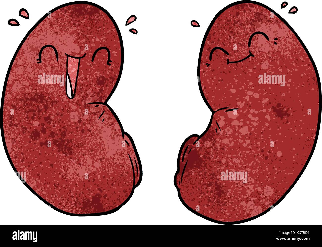 cartoon happy kidneys Stock Vector Image & Art - Alamy
