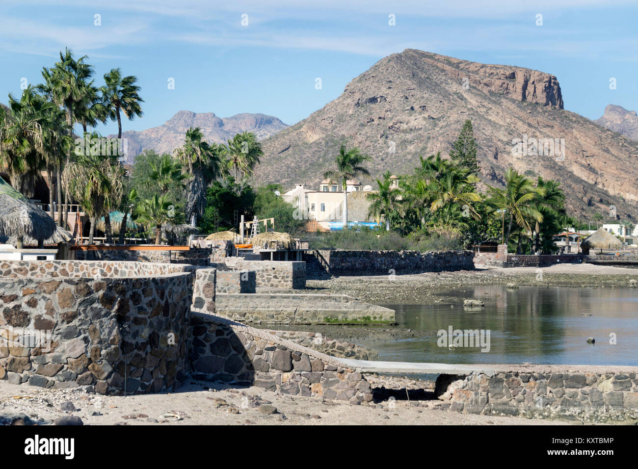 Trees along shoreline reflect hi-res stock photography and images - Alamy