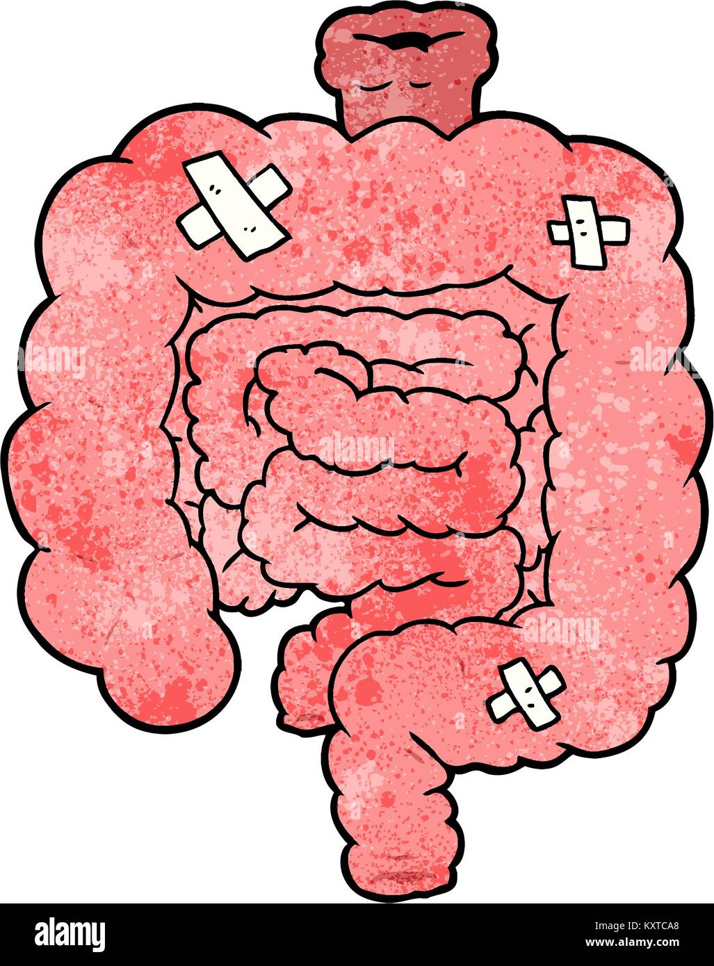cartoon repaired intestines Stock Vector Image & Art - Alamy