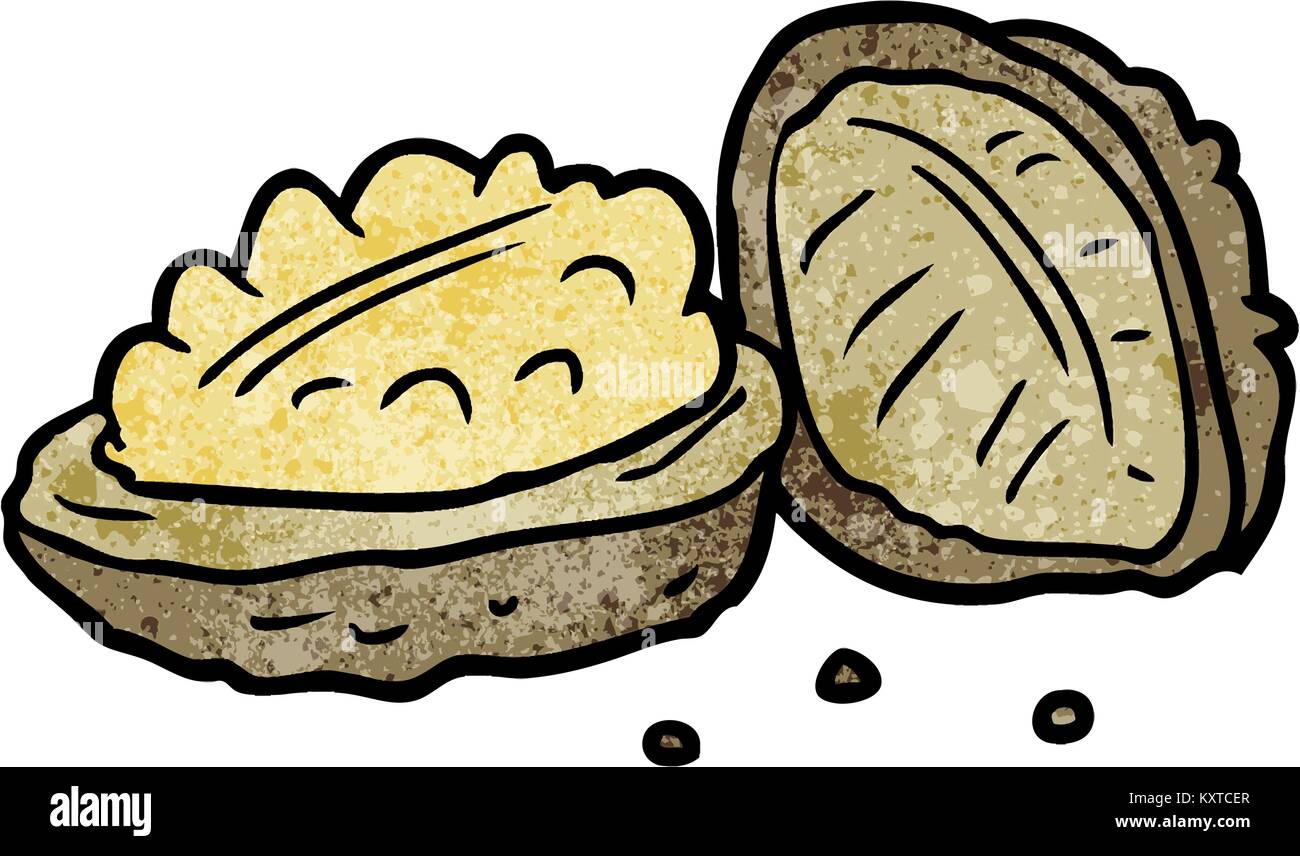 Walnuts shells Stock Vector Images - Alamy