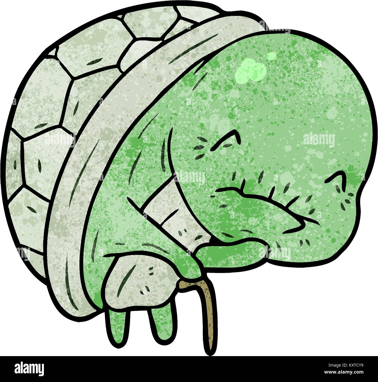 Old Turtle Stock Vector Images - Alamy