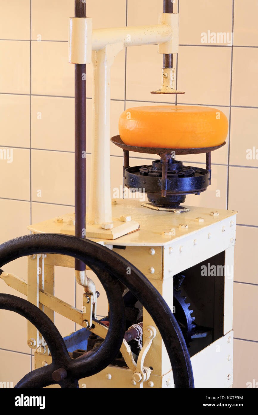 Cheese Factory, Volendam, North Holland, Netherlands, Europe Stock ...